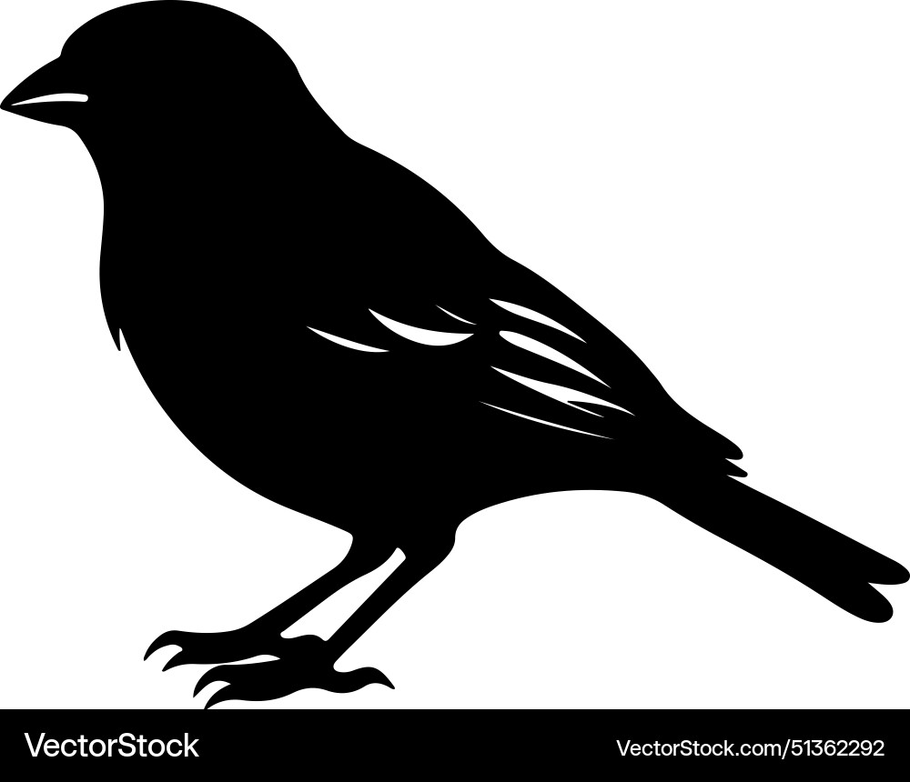 Finch silhouette white background Royalty Free Vector Image