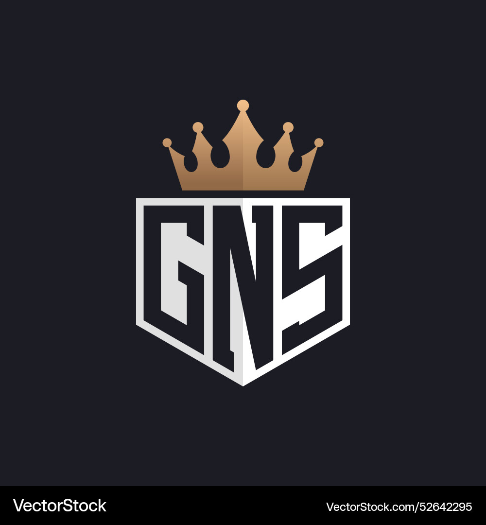 Luxury gns logo with crown elegant initials Vector Image