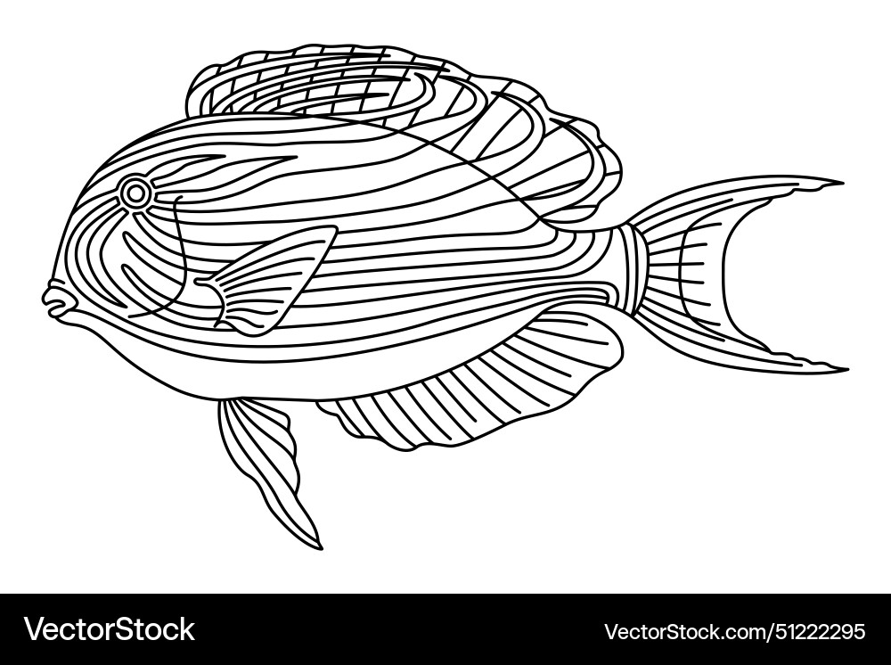 Tropical fish hand drawn line art coloring page Vector Image