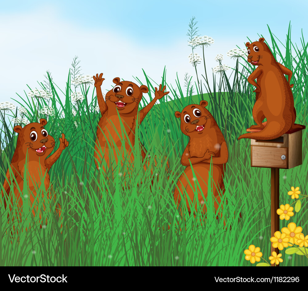 Cartoon beavers Royalty Free Vector Image - VectorStock