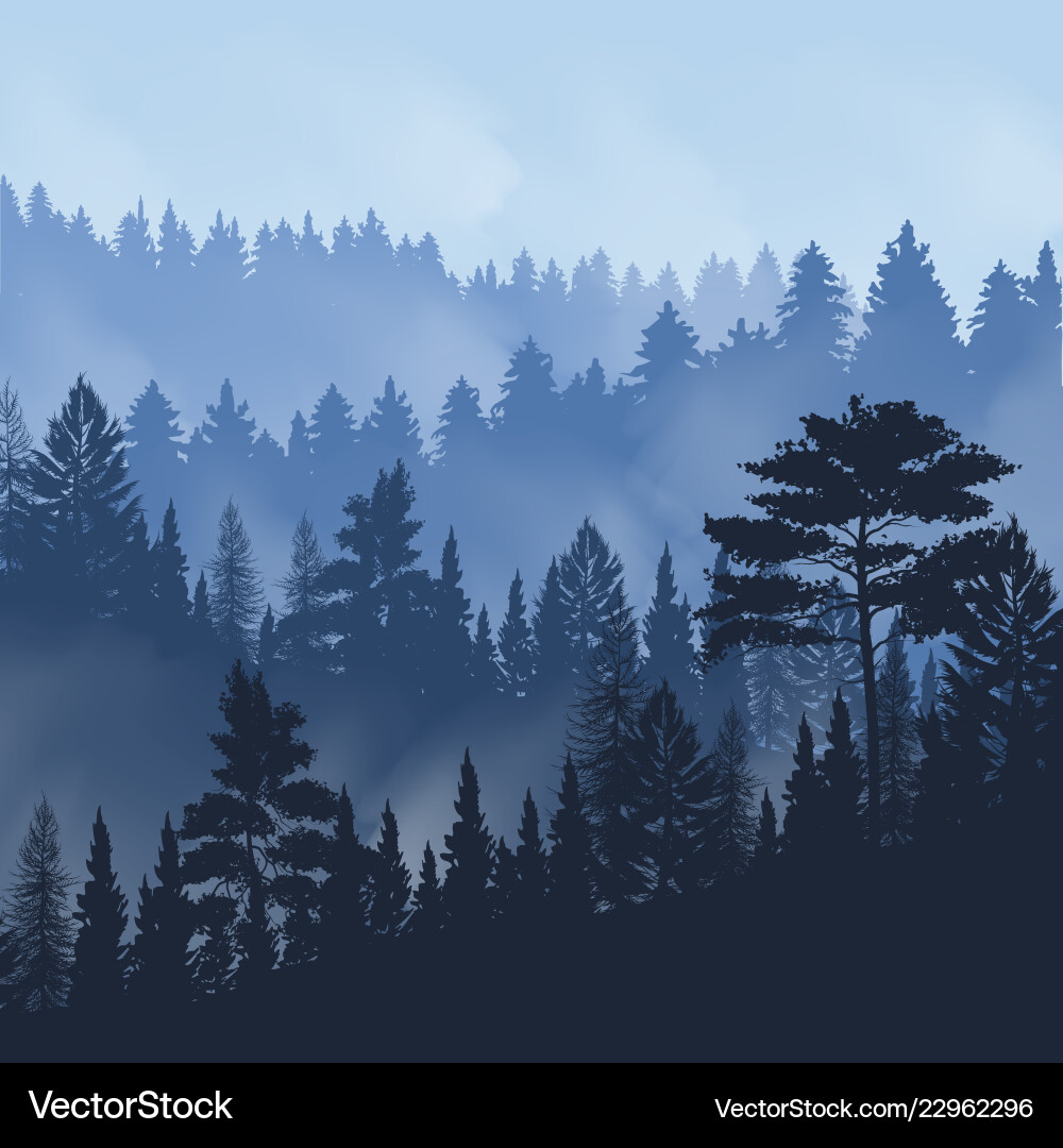 Pine Forest Fogscape Royalty Free Vector Image
