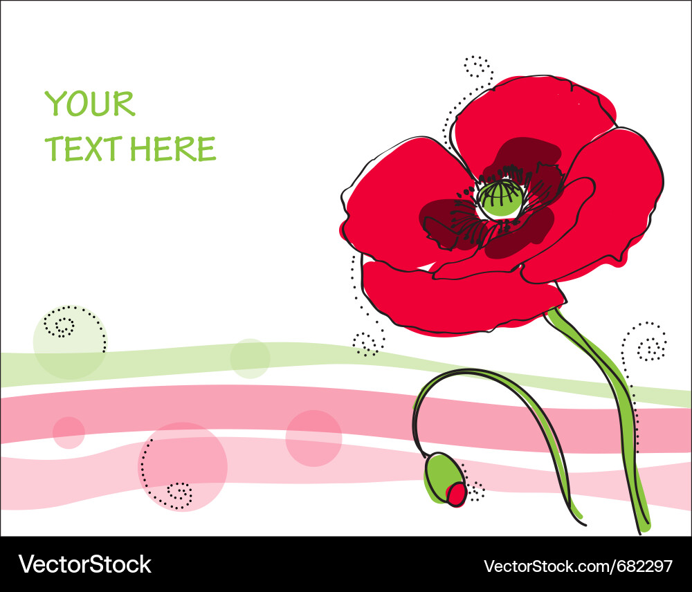 Beautiful poppy flower Royalty Free Vector Image