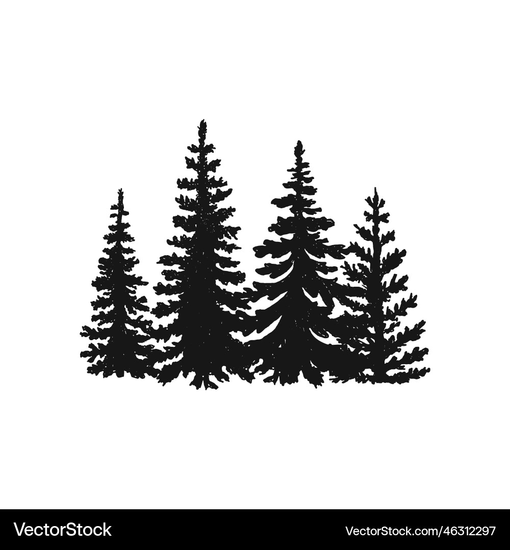Hand Drawn Forest Fir Trees Royalty Free Vector Image