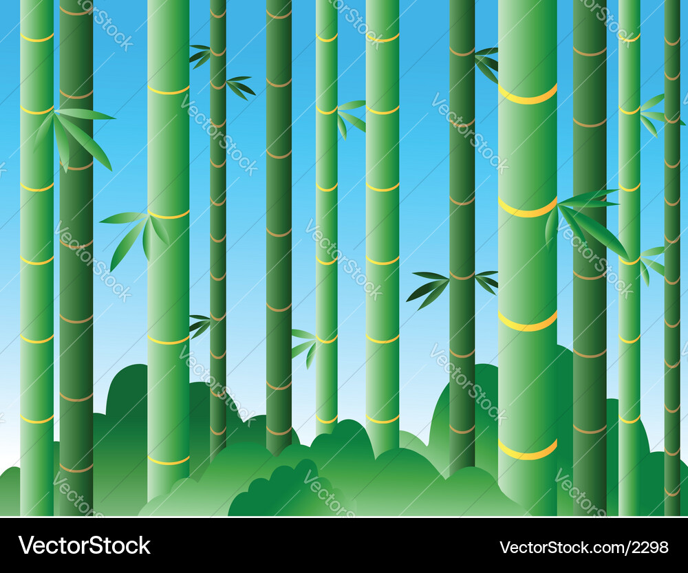 Bamboo forest Royalty Free Vector Image - VectorStock