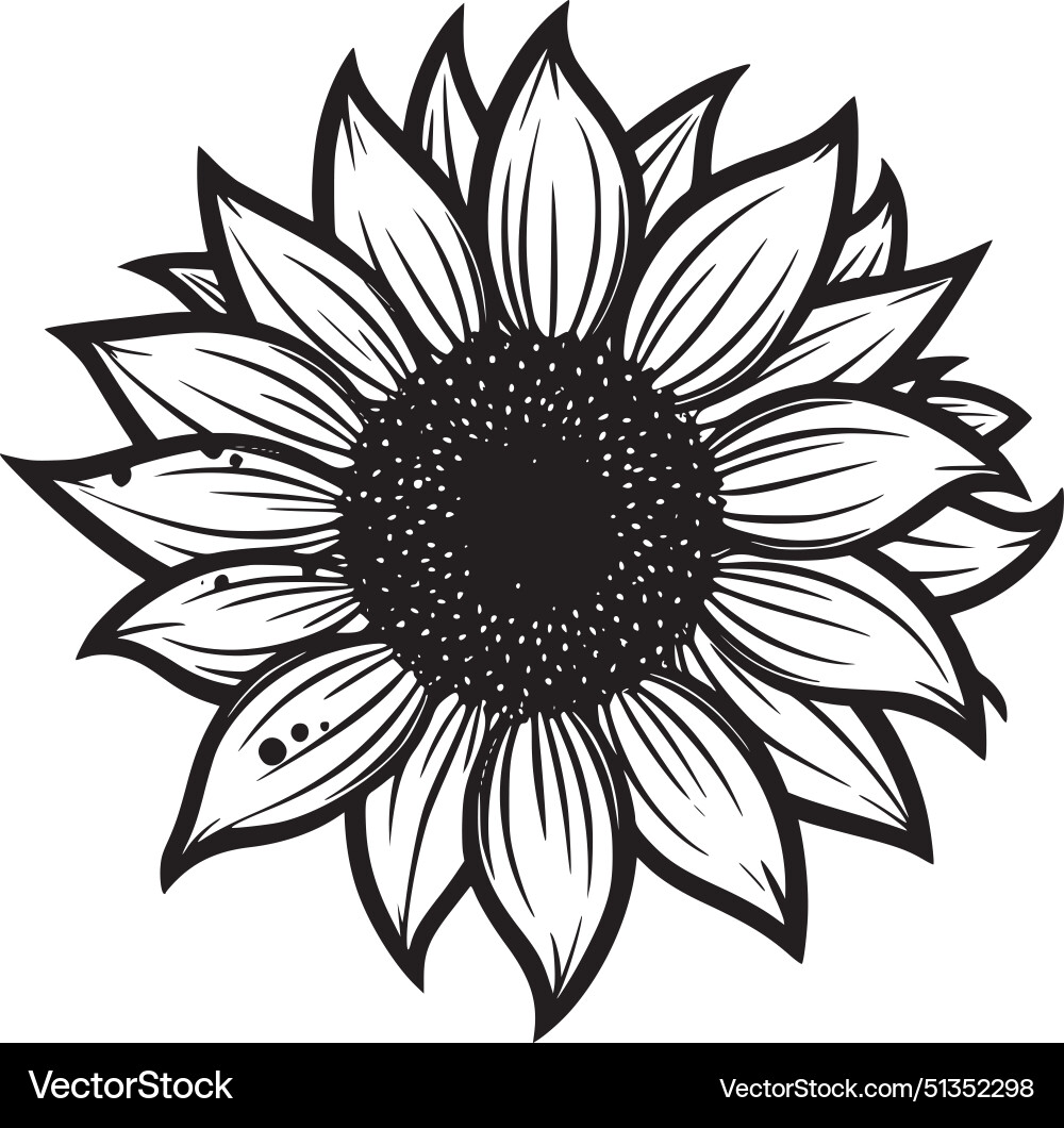 Sunflower - black and white isolated icon Vector Image