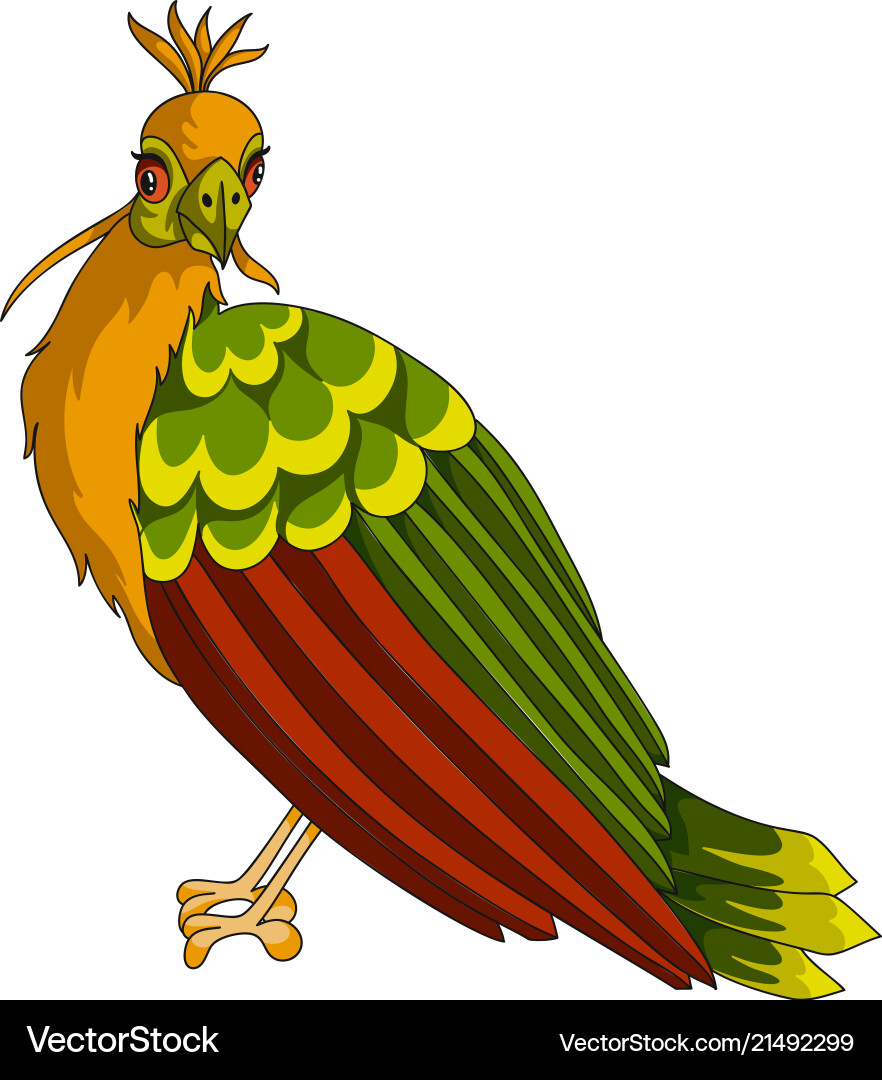 Hoatzin Bird Cartoon Icon Royalty Free Vector Image