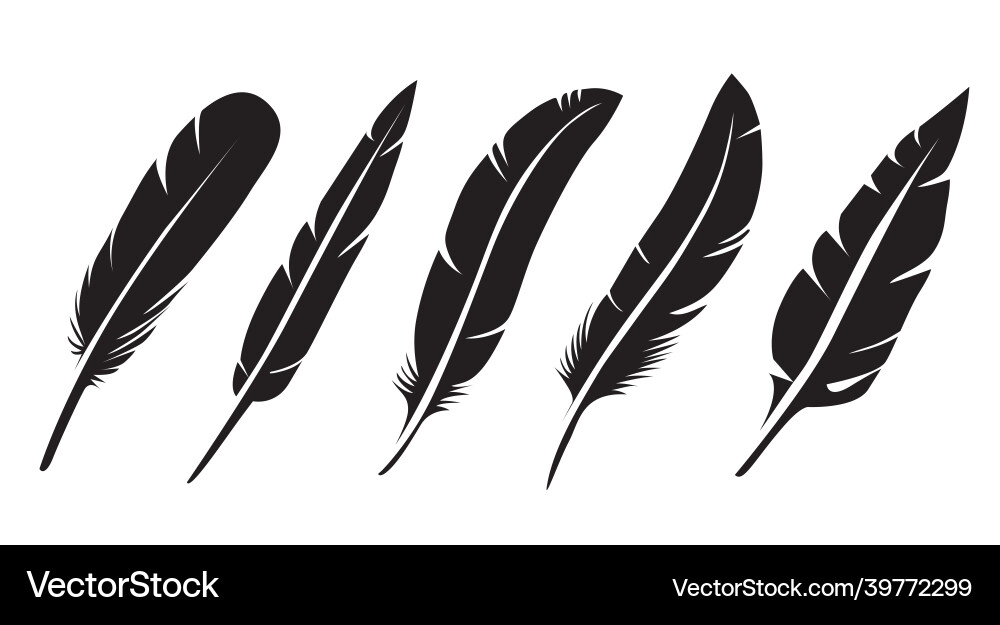 Set of black bird feather Royalty Free Vector Image