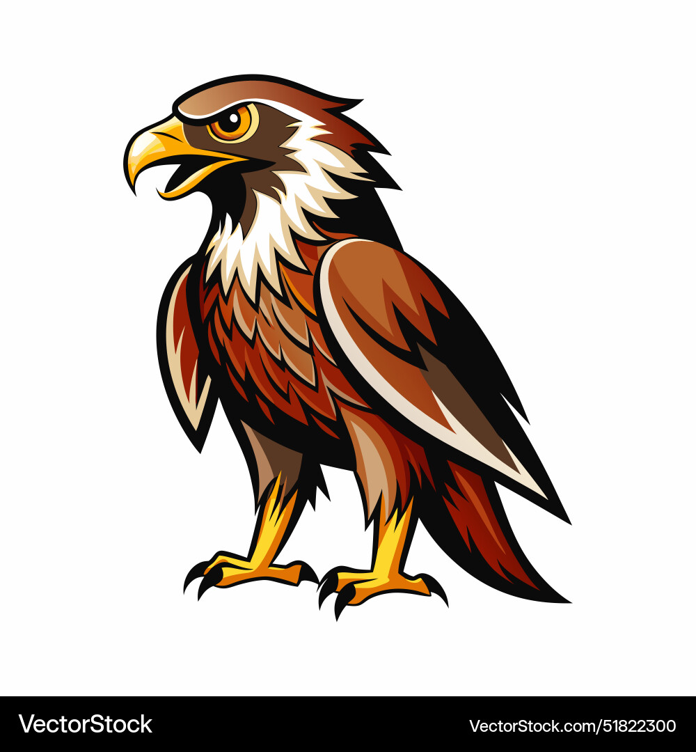 Ferruginous-hawk-bird-energetic-looks Royalty Free Vector