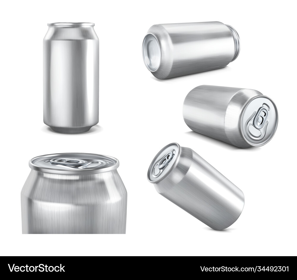 Aluminum cans a set different types for mock Vector Image