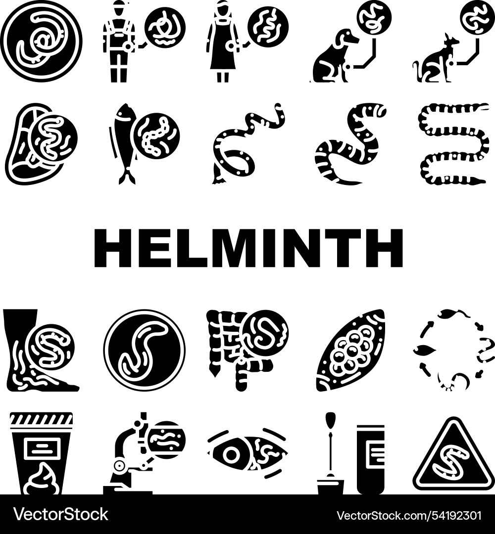 Helminth worm parasite nematode icons set Vector Image