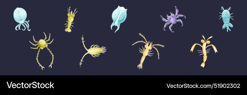 Plankton diverse water organism free floating Vector Image