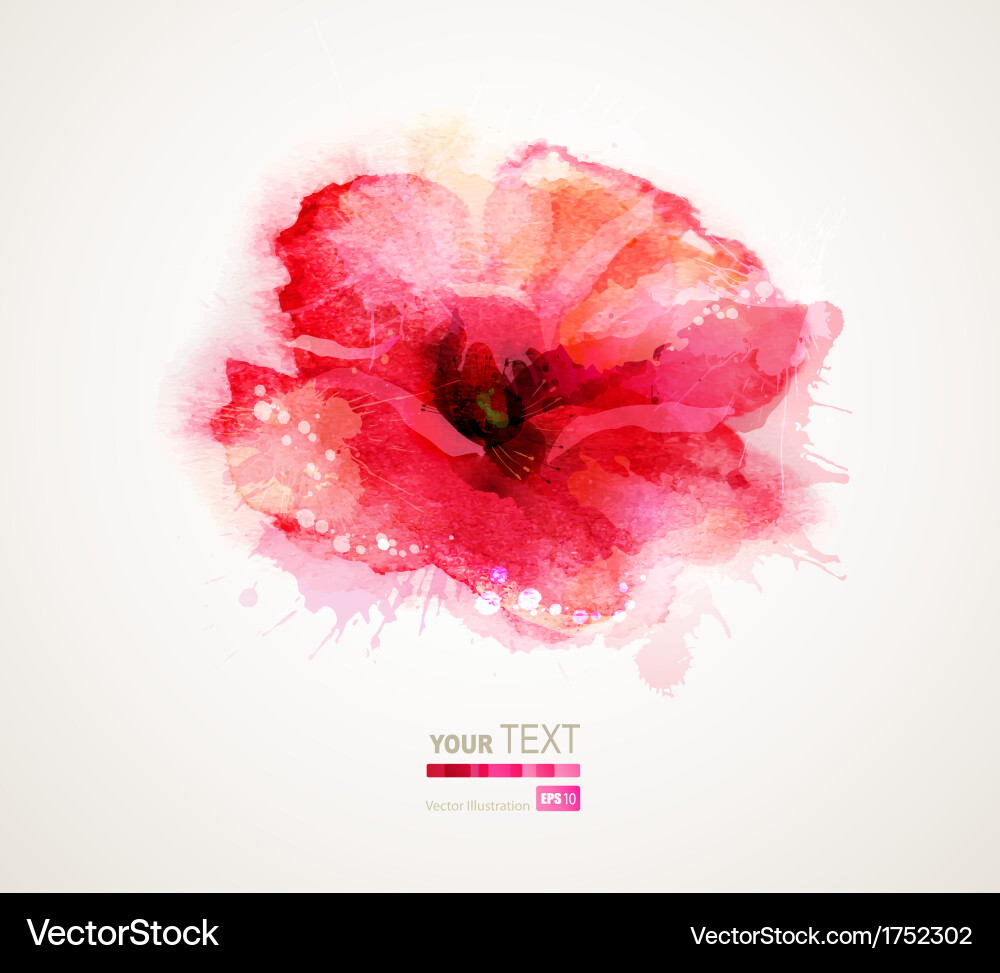 Poppy Royalty Free Vector Image - VectorStock