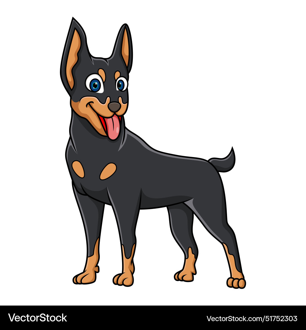 Cartoon doberman dog on white background Vector Image