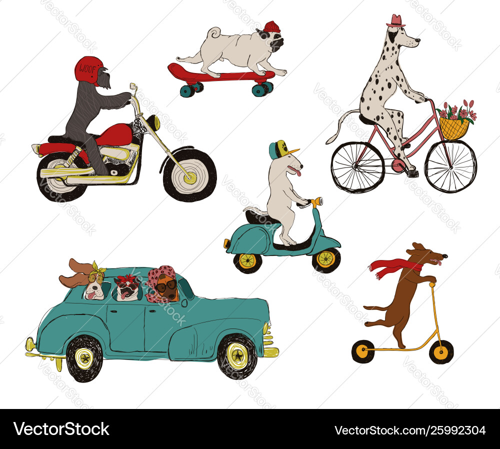 Cute Dogs Driving Vehicles Royalty Free Vector Image