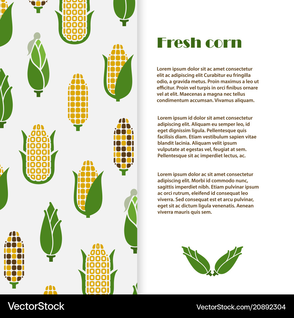 Fresh corn banner template design harvest Vector Image