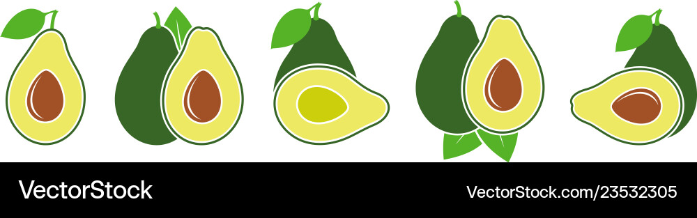 Avocado Royalty Free Vector Image - VectorStock