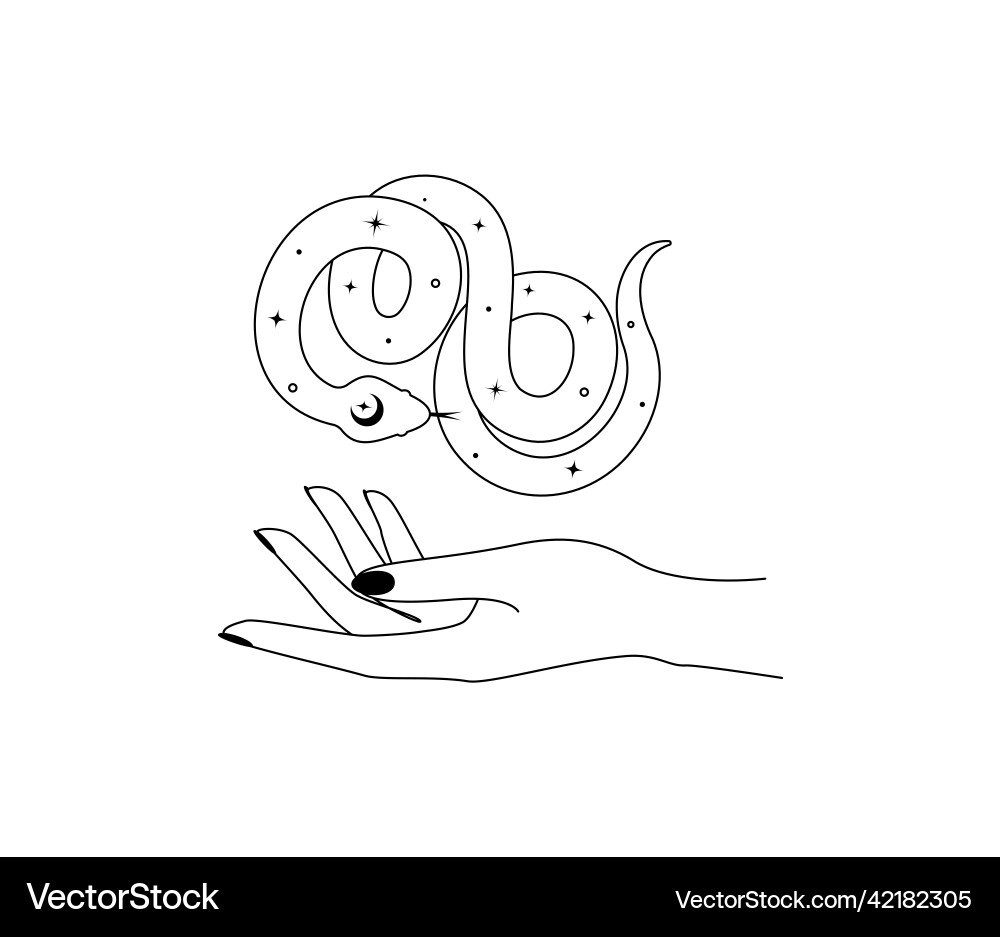 Magical hand and celestial snake in outline style Vector Image