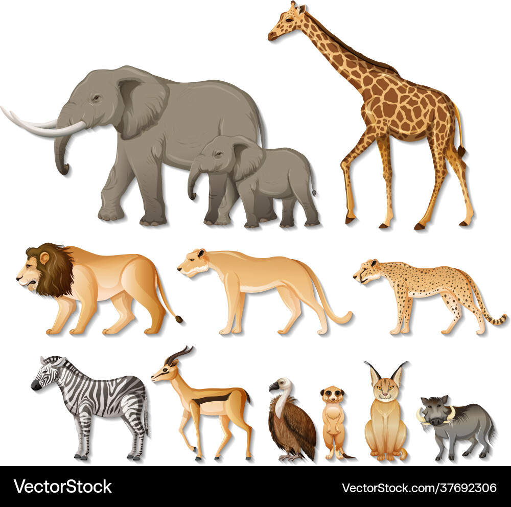 Set isolated wild african animals on white Vector Image