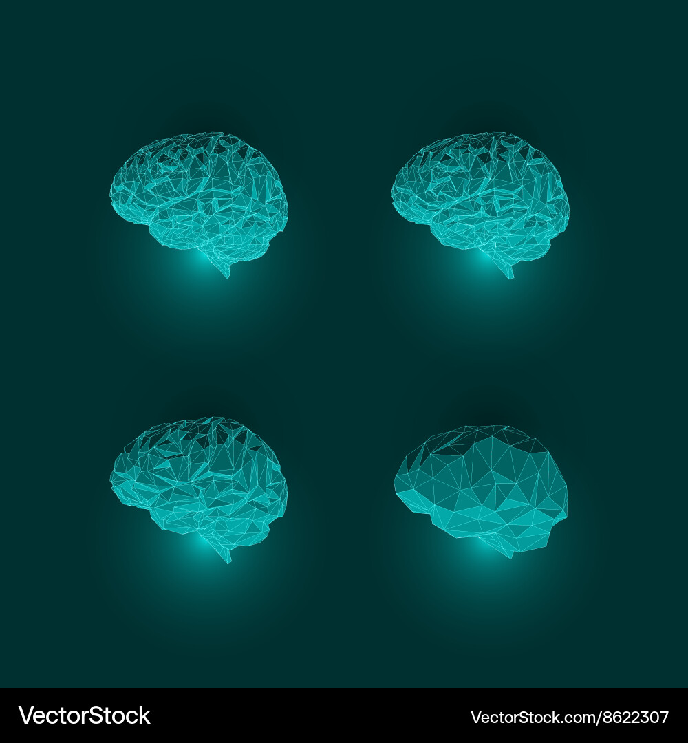 Set of active human brains on dark background Vector Image