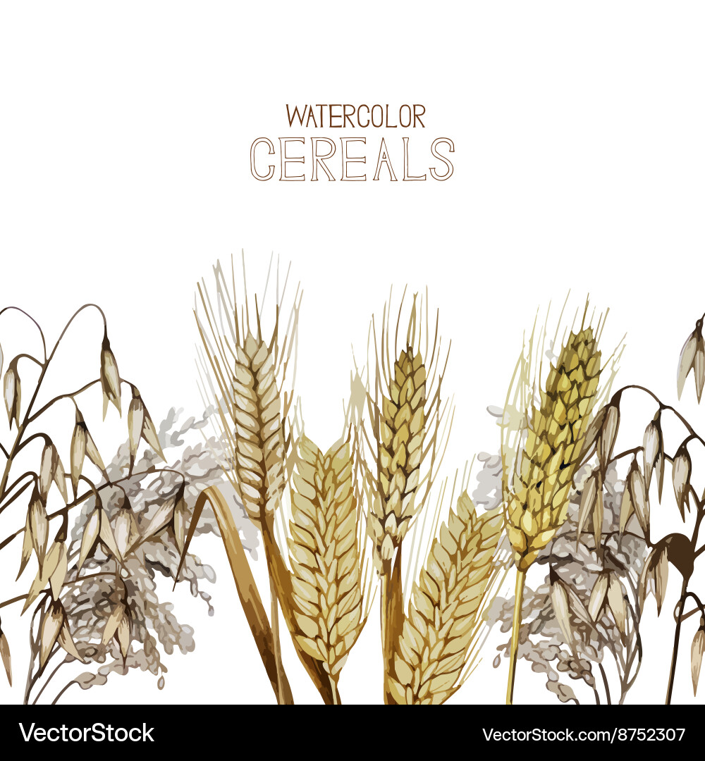 Watercolor Grain Pattern Royalty Free Vector Image