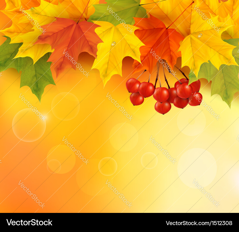 Autumn Leaves Background Royalty Free Vector Image