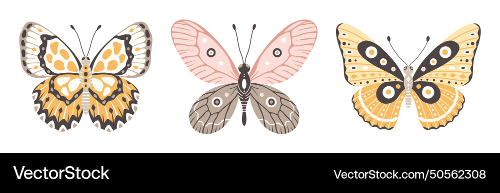Butterfly set three elements colourful wings Vector Image