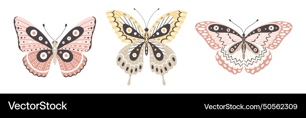 Butterfly set three elements colourful wings Vector Image