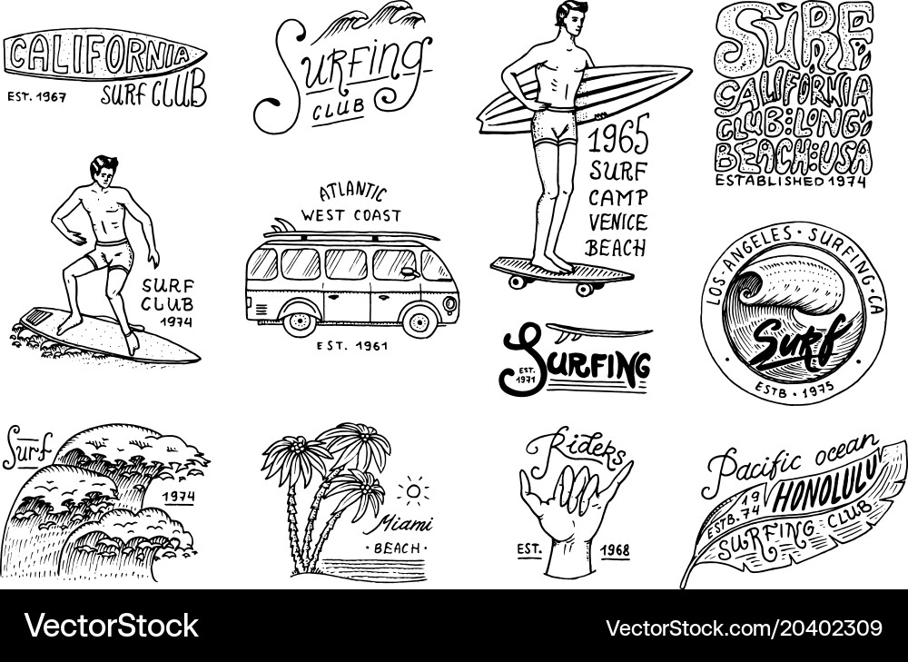 Surf badge and wave palm tree ocean tropics Vector Image
