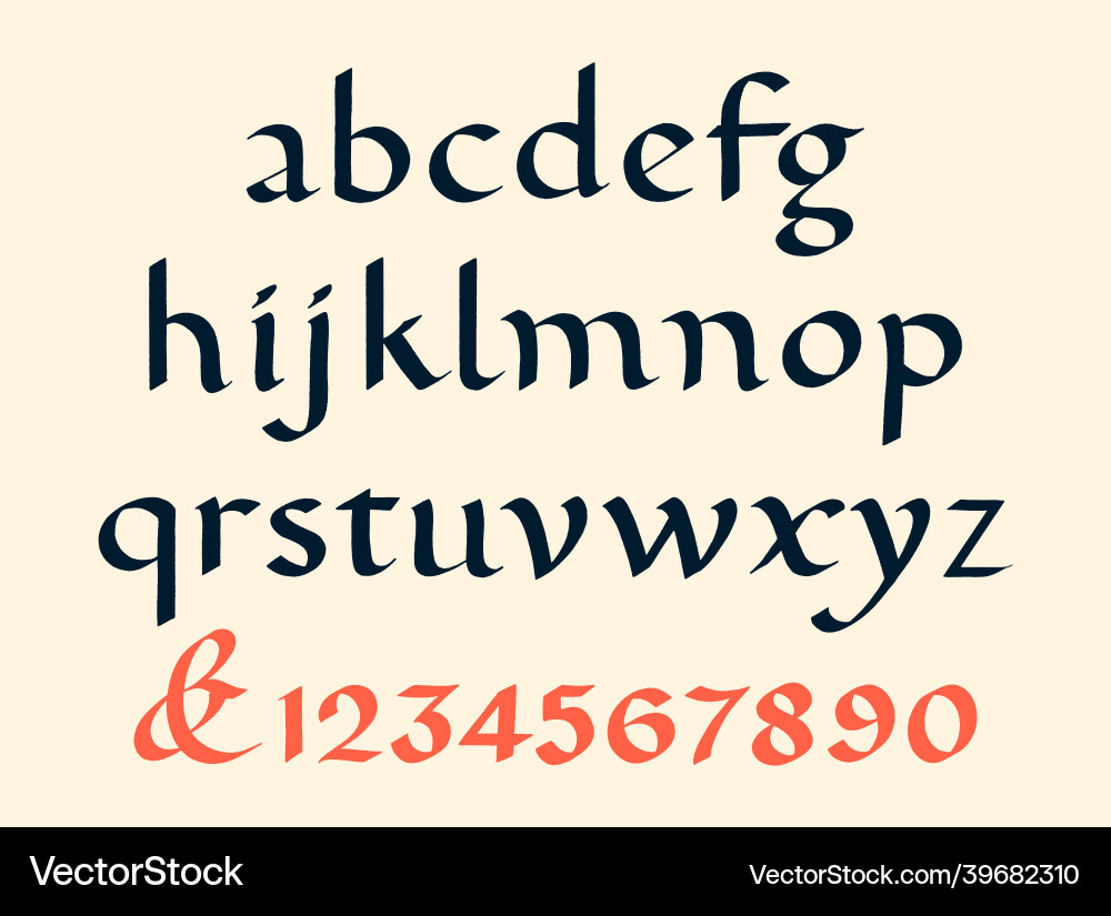 Carolingian minuscule alphabet calligraphy Vector Image