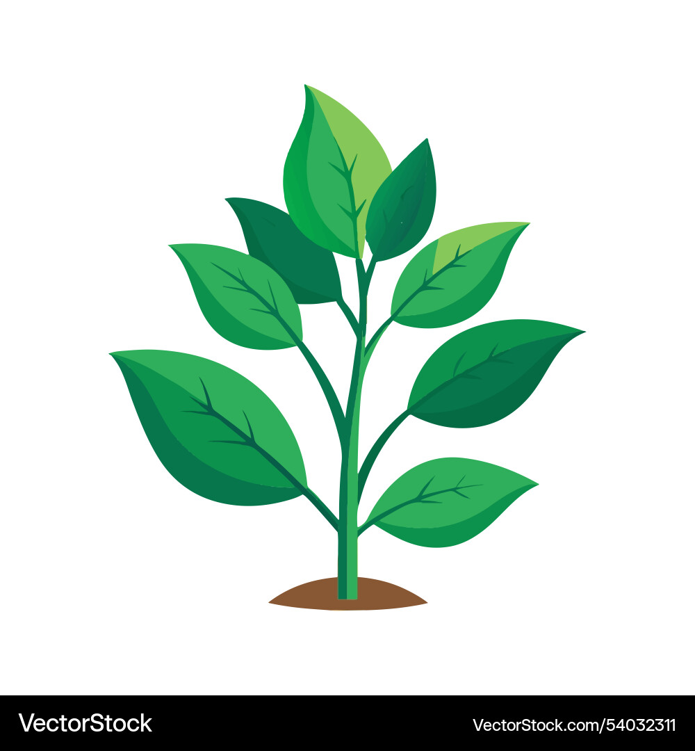 Elegant plant tree art Royalty Free Vector Image