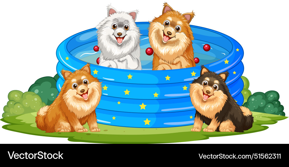 Four dogs playing in a blue pool Royalty Free Vector Image