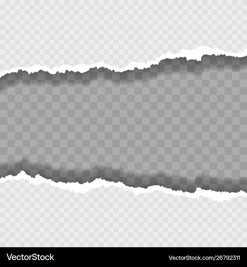 Torn white paper with shadow damaged cardboard Vector Image