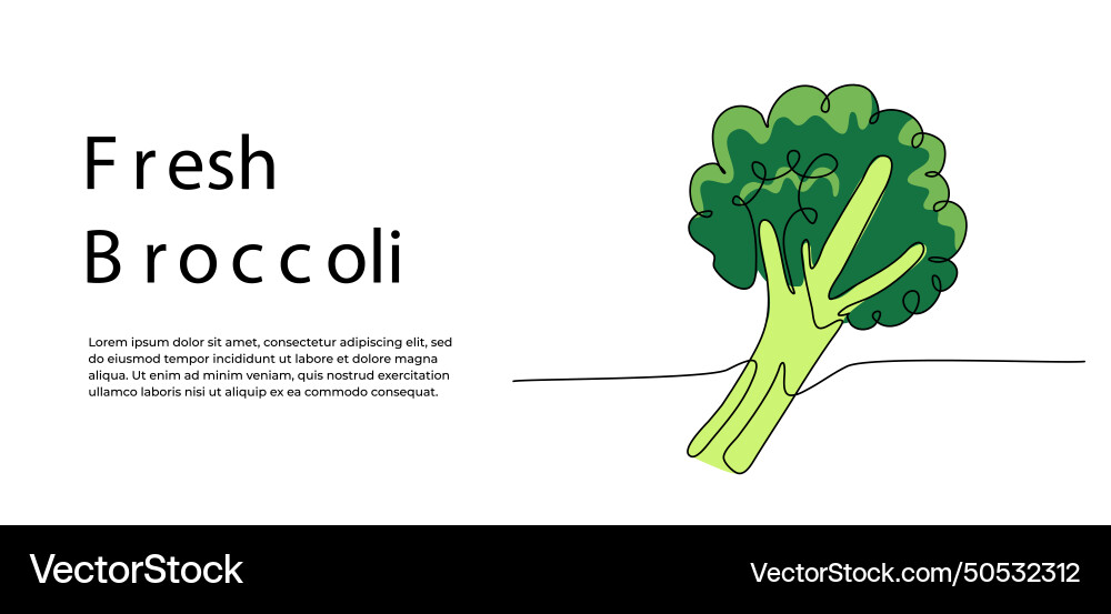 Broccoli one continuous line design vegetable Vector Image