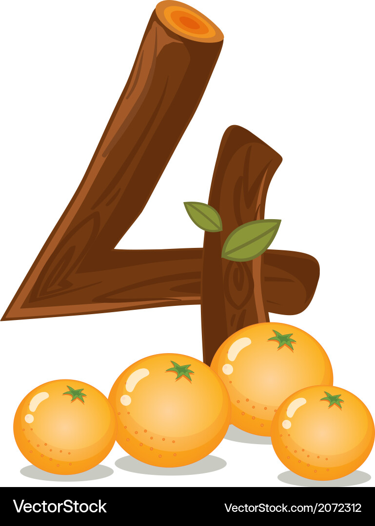 Four oranges Royalty Free Vector Image - VectorStock
