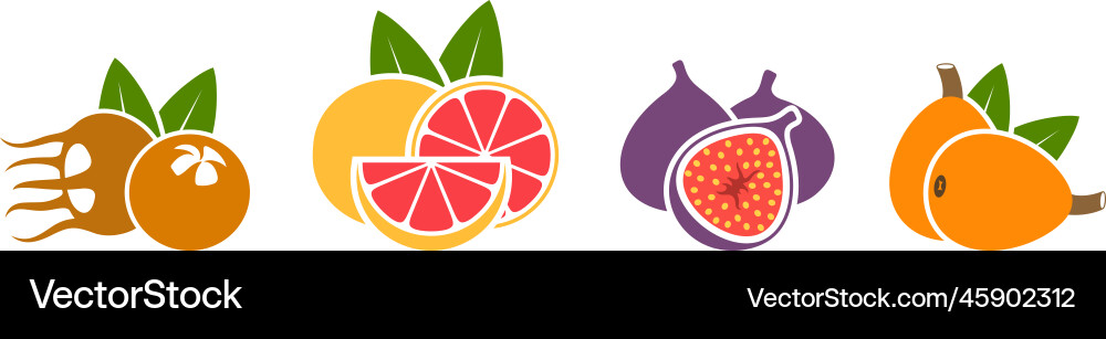 Fruit Royalty Free Vector Image - VectorStock