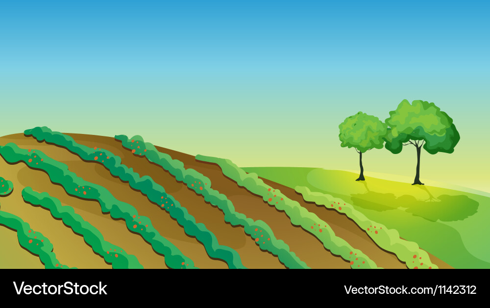 Scenic Agricultural Hillside Royalty Free Vector Image