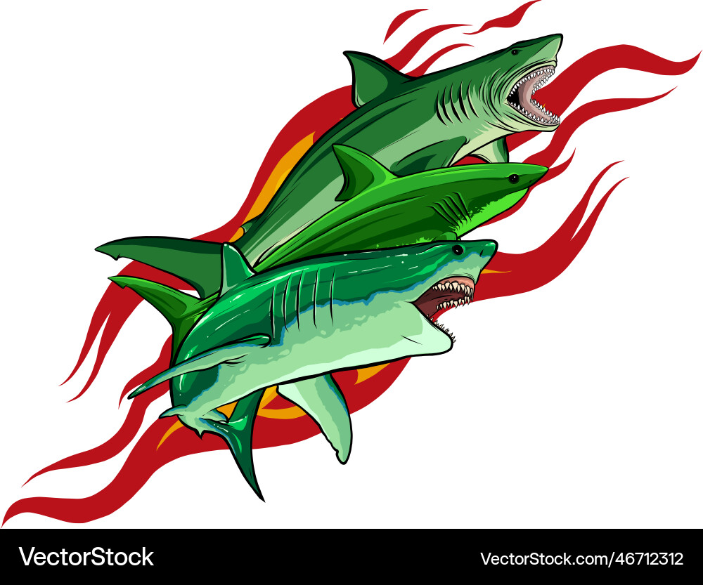 Sharks on white background Royalty Free Vector Image