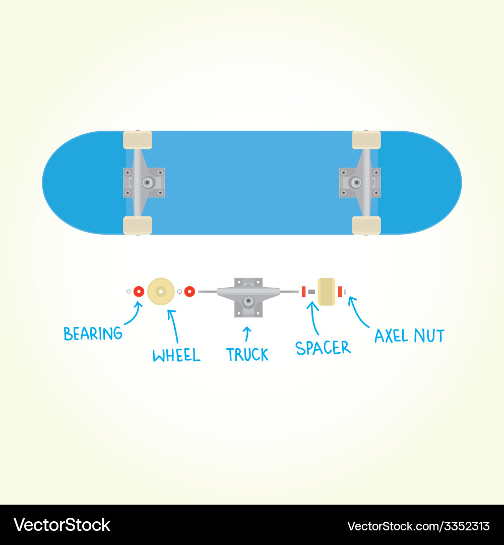 Blank skateboard and parts isolated Royalty Free Vector