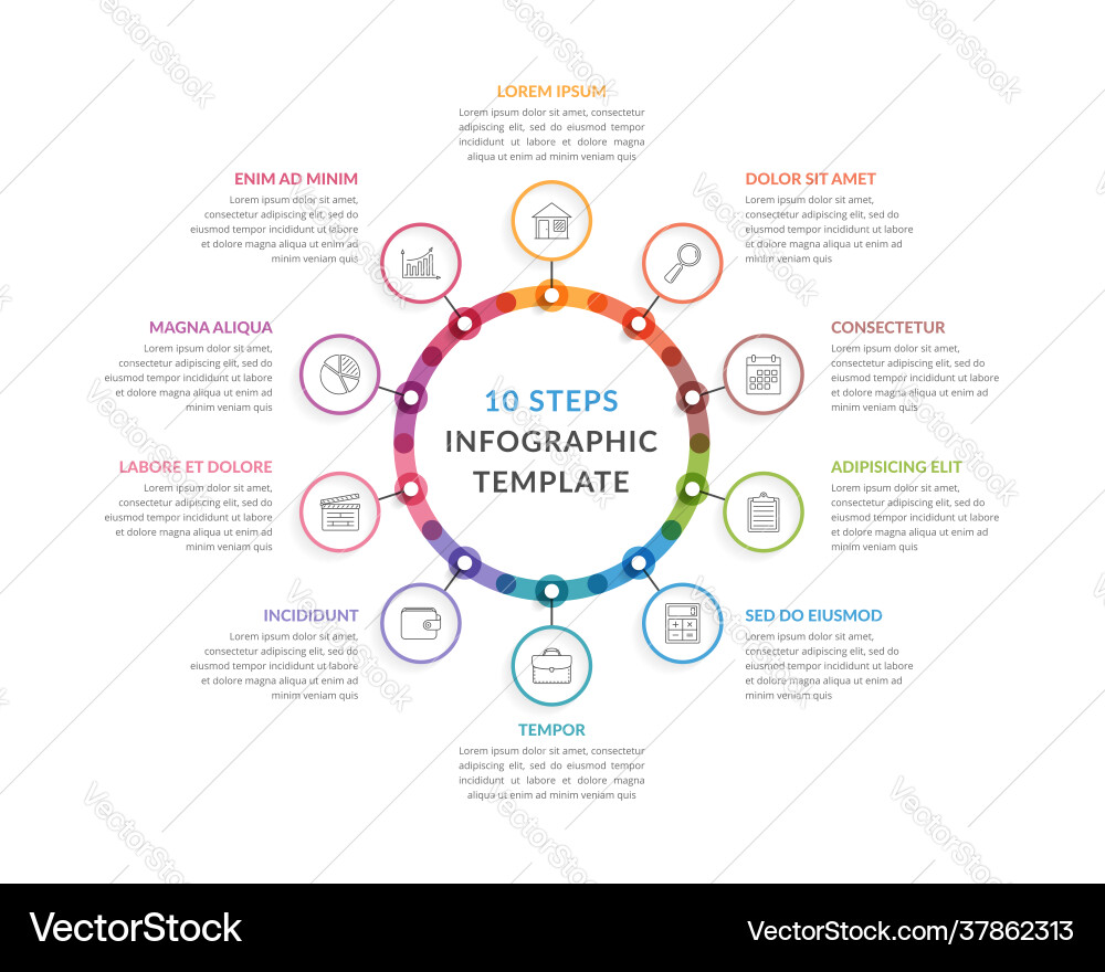 Circle infographics Royalty Free Vector Image - VectorStock