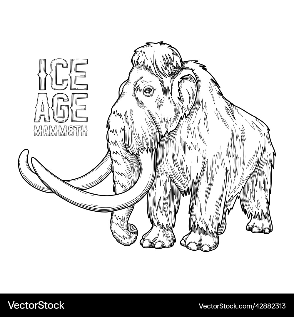 Graphic a mammoth in side view isolated on white Vector Image