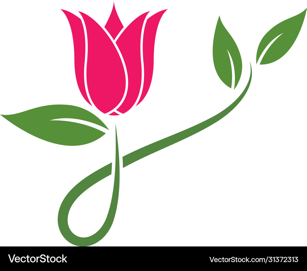 Rose flower logo Royalty Free Vector Image - VectorStock