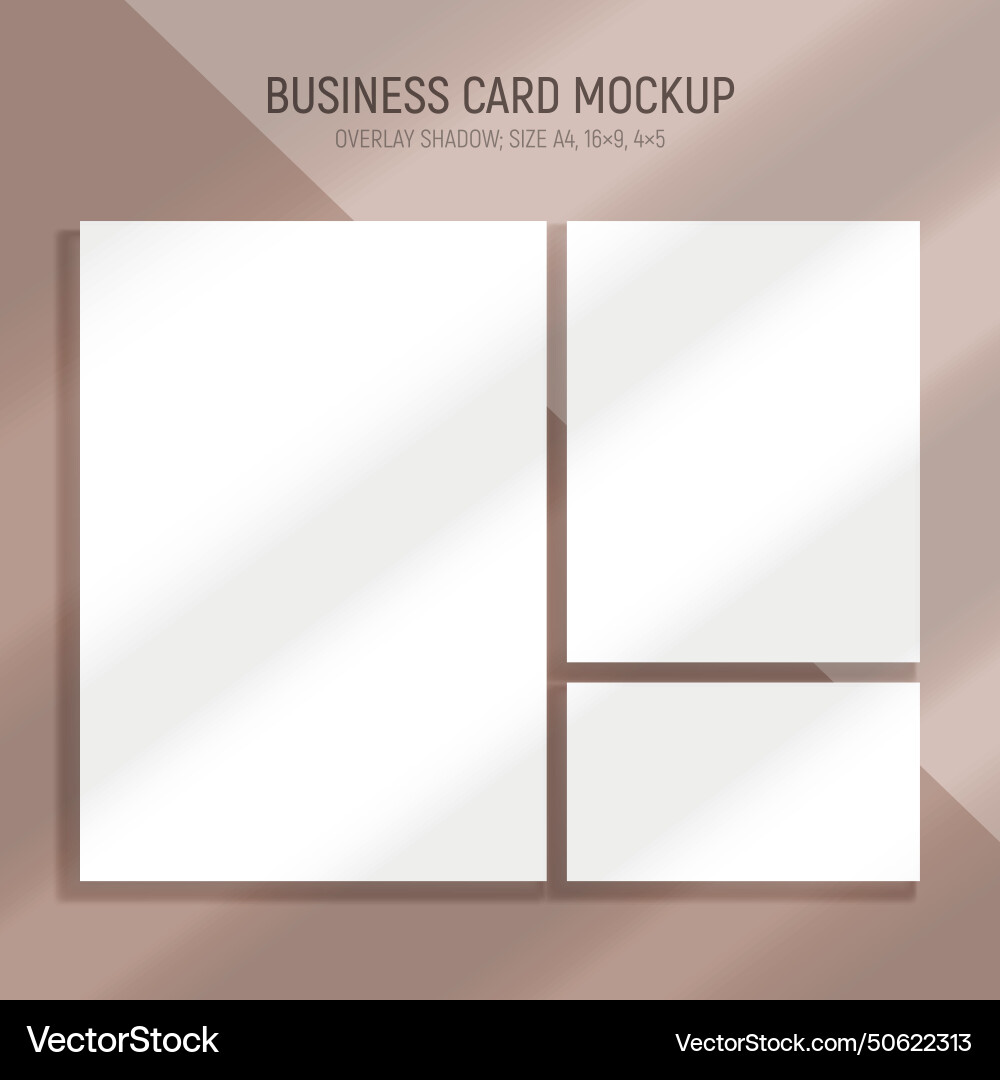 Window card mockups set Royalty Free Vector Image
