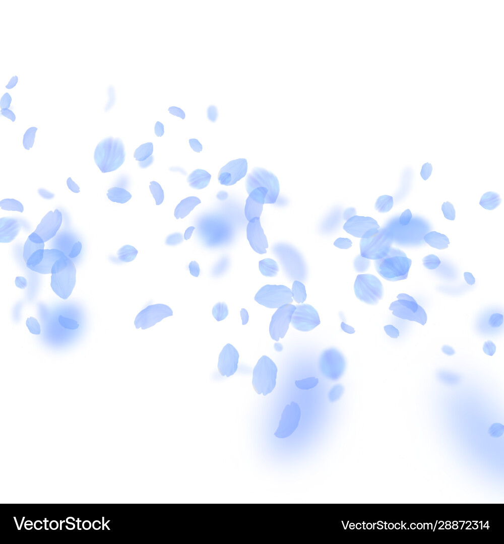 Dark blue flower petals falling down fantastic ro Vector Image