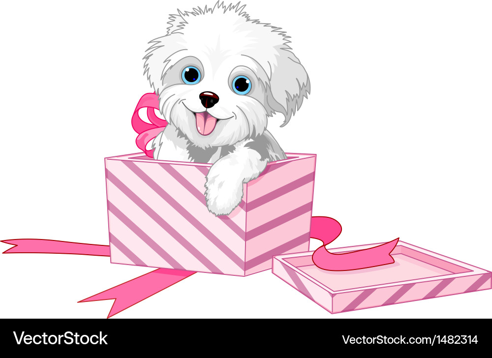 Dog in box Royalty Free Vector Image - VectorStock