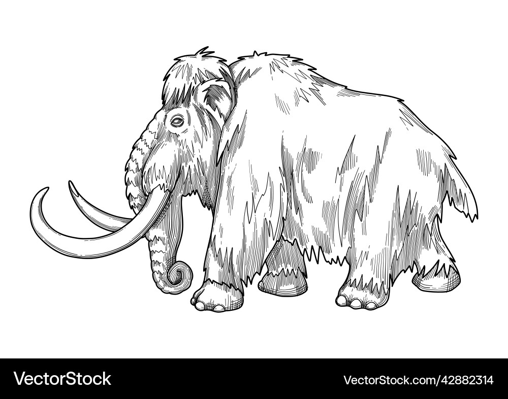 Graphic a mammoth in side view isolated on white Vector Image
