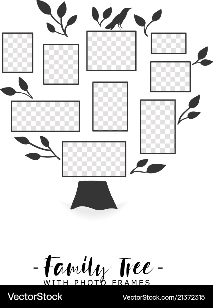 Family tree with photo frames Royalty Free Vector Image
