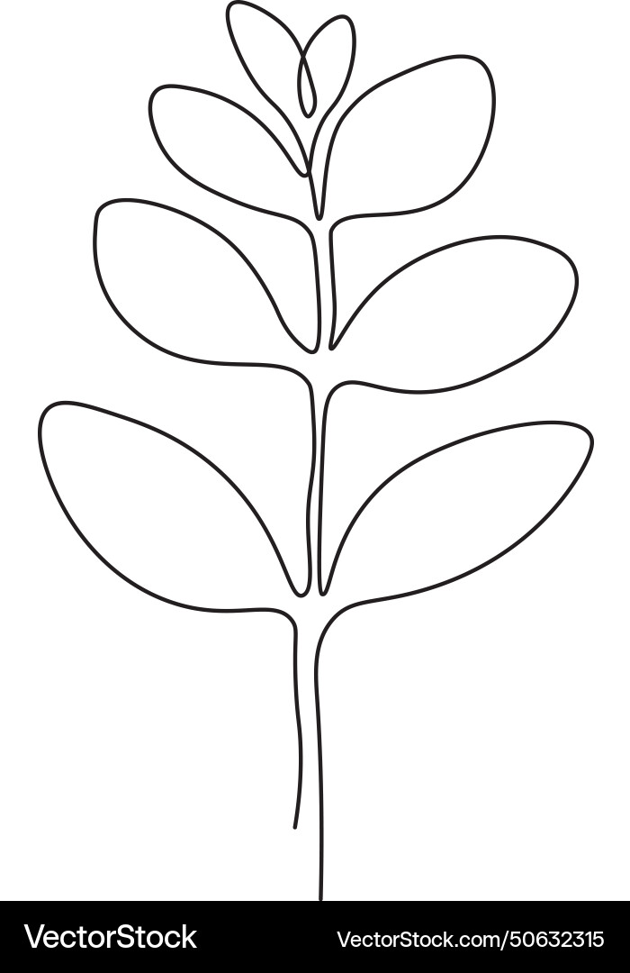 Flower plant outline Royalty Free Vector Image