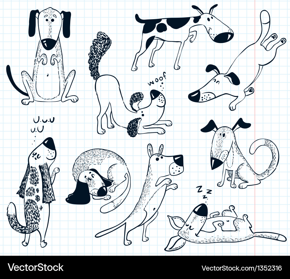 Dogs Royalty Free Vector Image - VectorStock