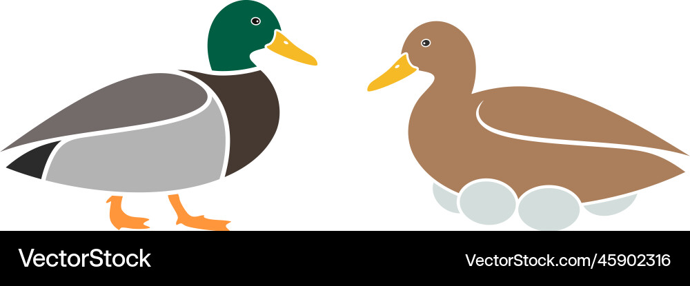 Duck Royalty Free Vector Image - VectorStock