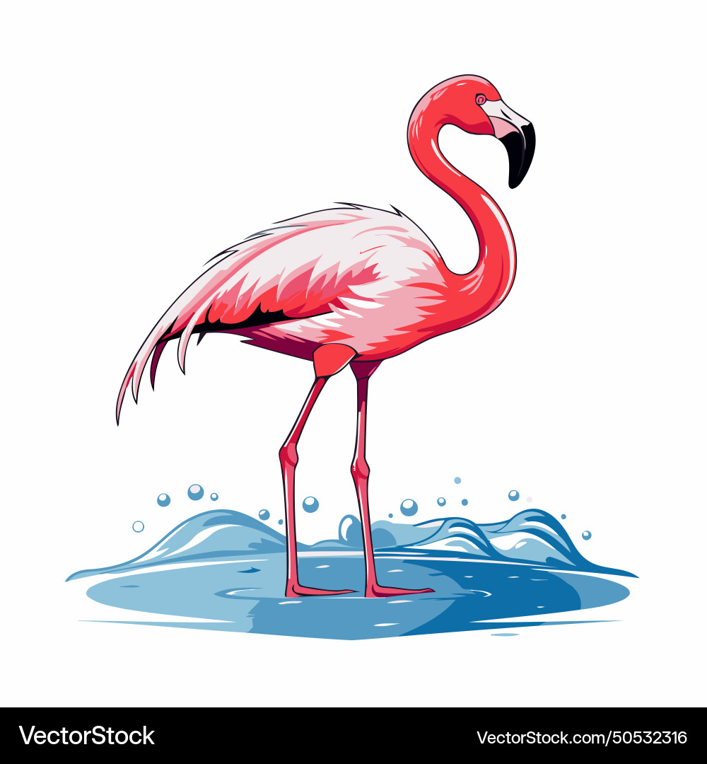 Flamingo in the water Royalty Free Vector Image